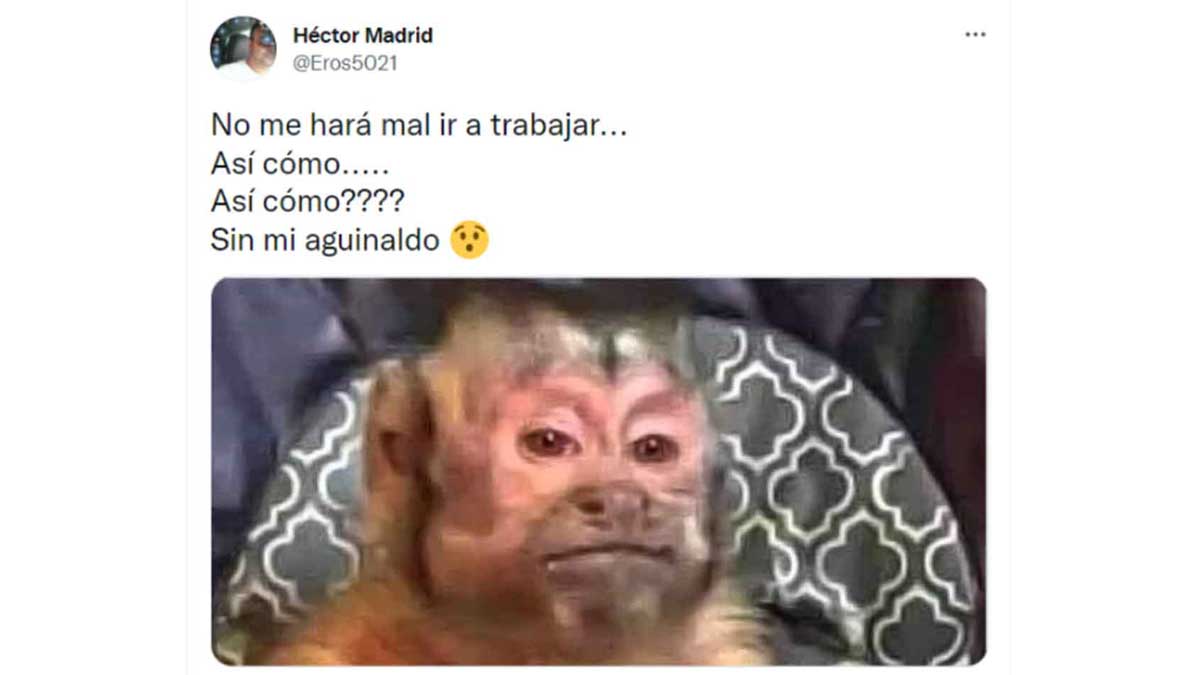 Estos son los mejores memes del aguinaldo 2021 » Oronoticias