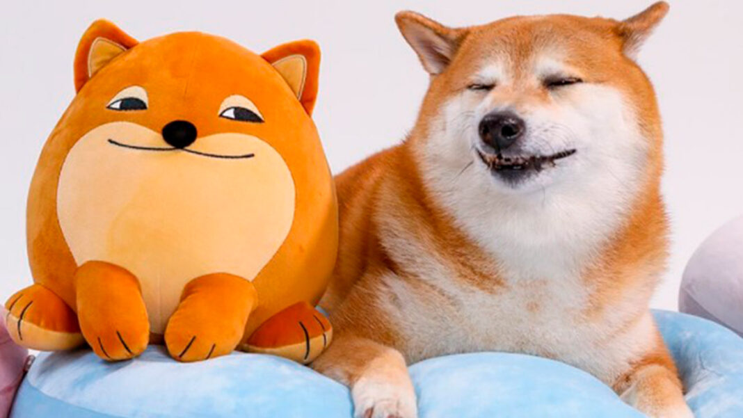 ¡UwU! Lanzan línea de peluches inspirados en Cheems » Oronoticias